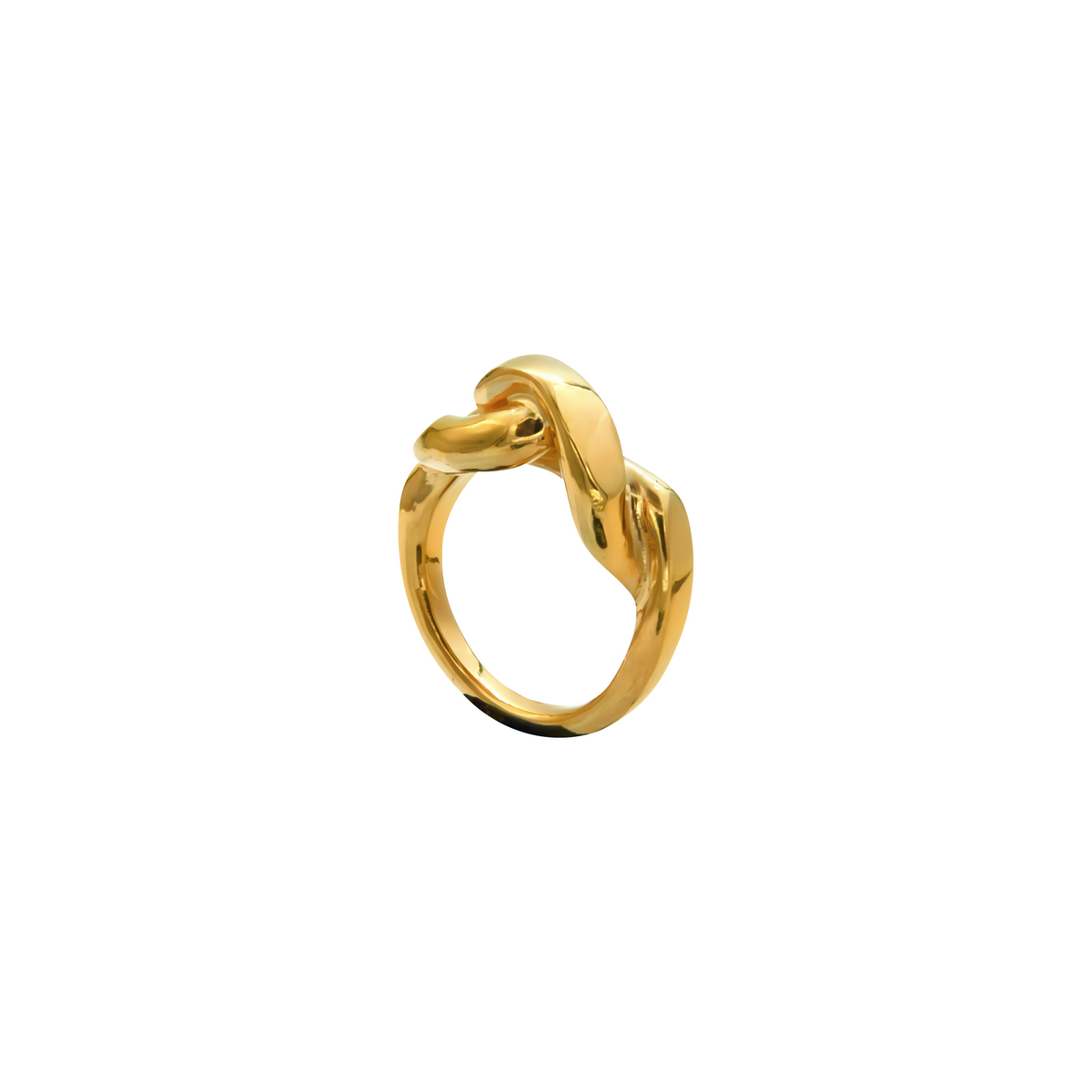 Big Embrace Ring – hana kim